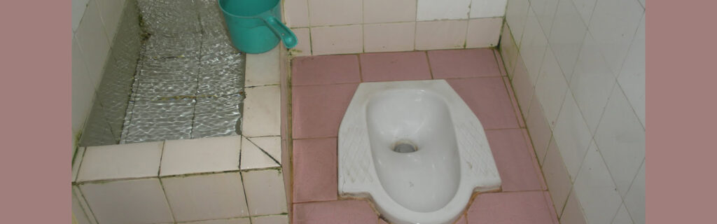 Where There is No Accessible Toilet - MIUSA