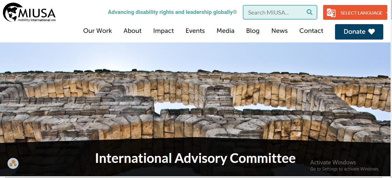 International Advisory Committee - MIUSA